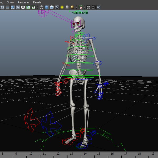 skeleton rig ma free