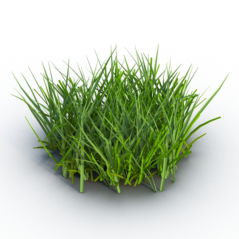 3d grass 2