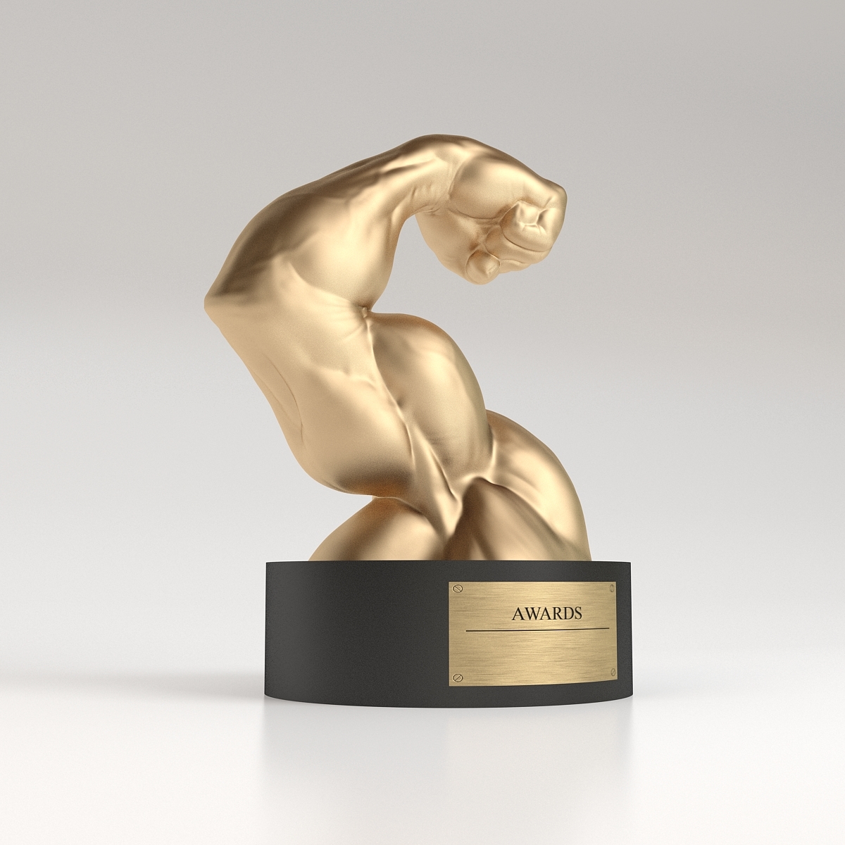3d prize bodybuilder model