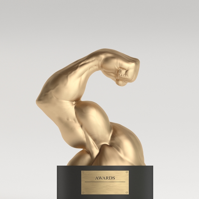 3d prize bodybuilder model