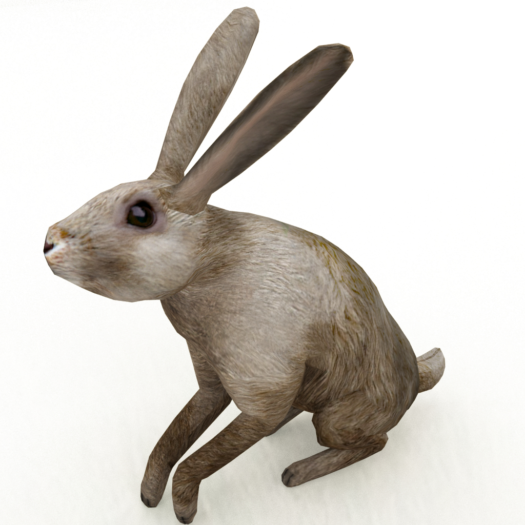 animation cat 3d 3ds