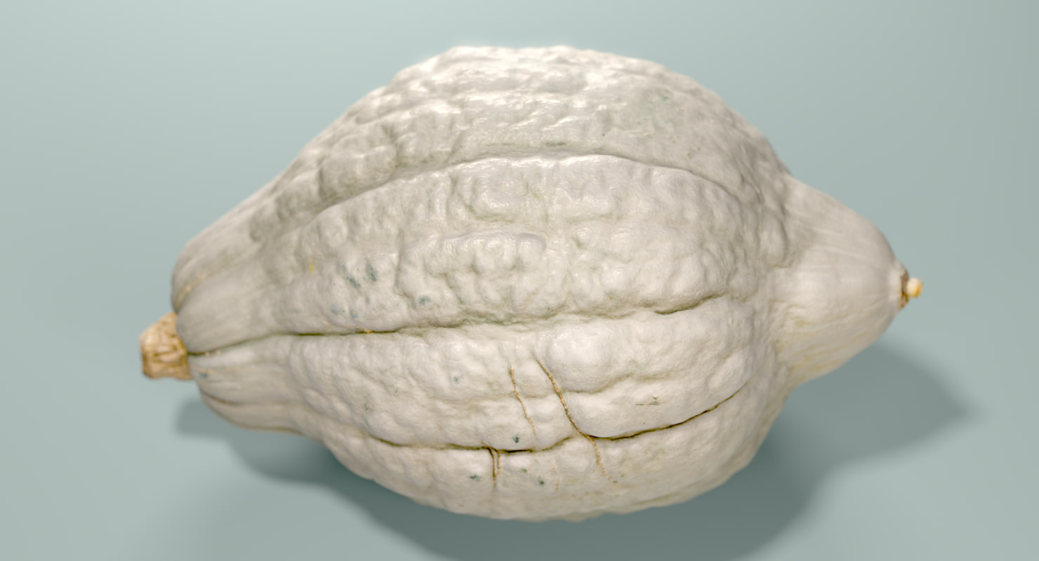 squash hubbard pumpkin max