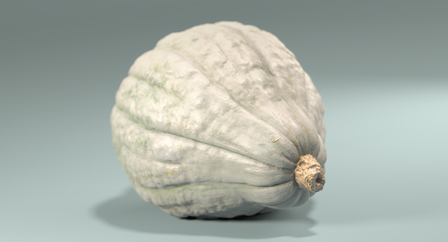 squash hubbard pumpkin max