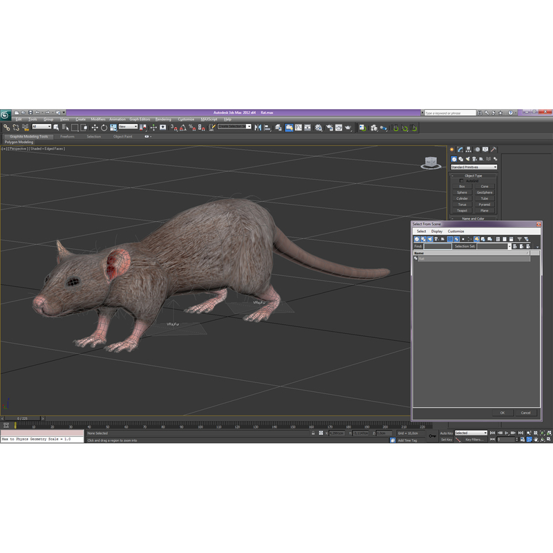 3d model of rat fur