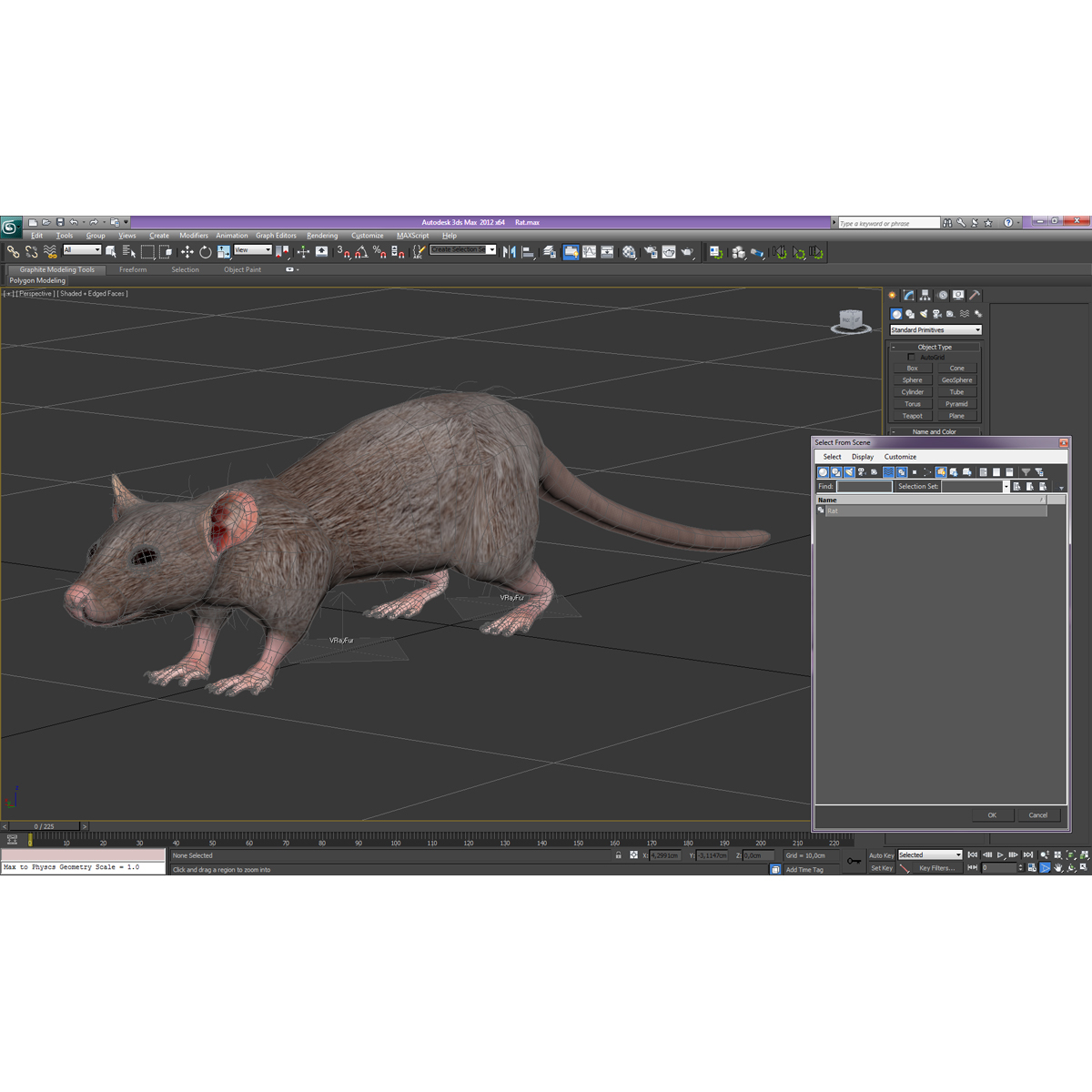 3d model of rat fur