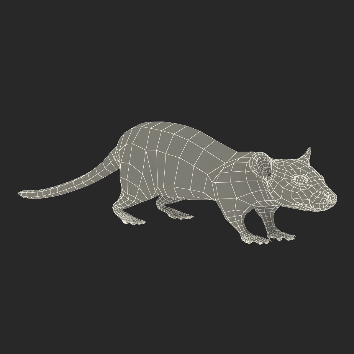 3d model of rat fur