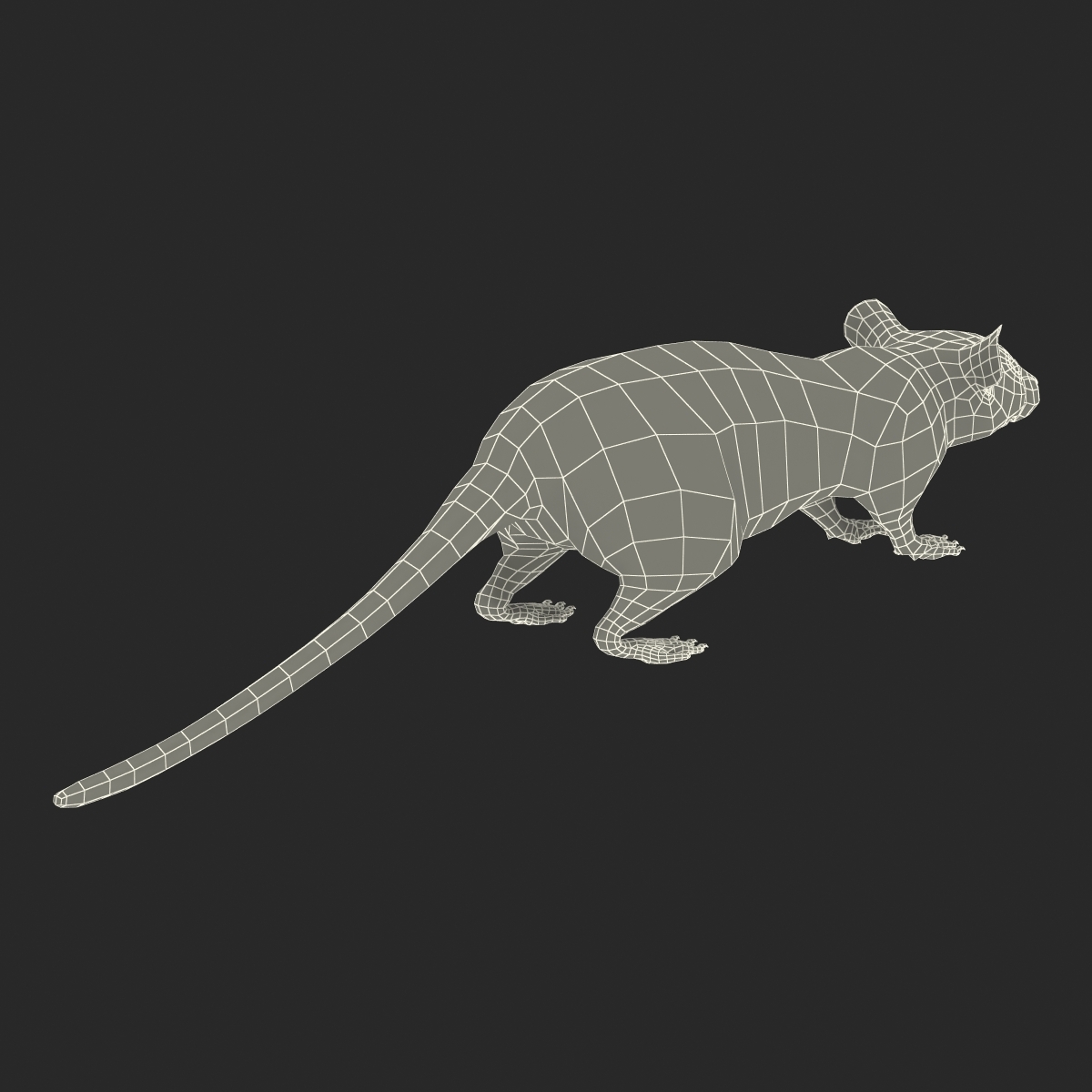 3d model of rat fur