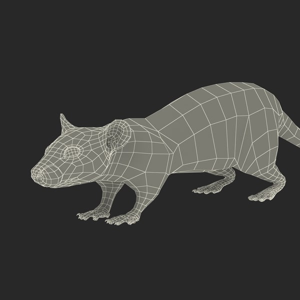 3d model of rat fur