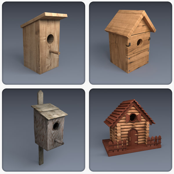 3d house birdhouse bird