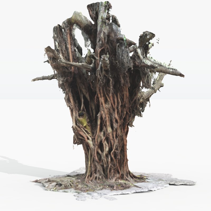 3d model tree complex