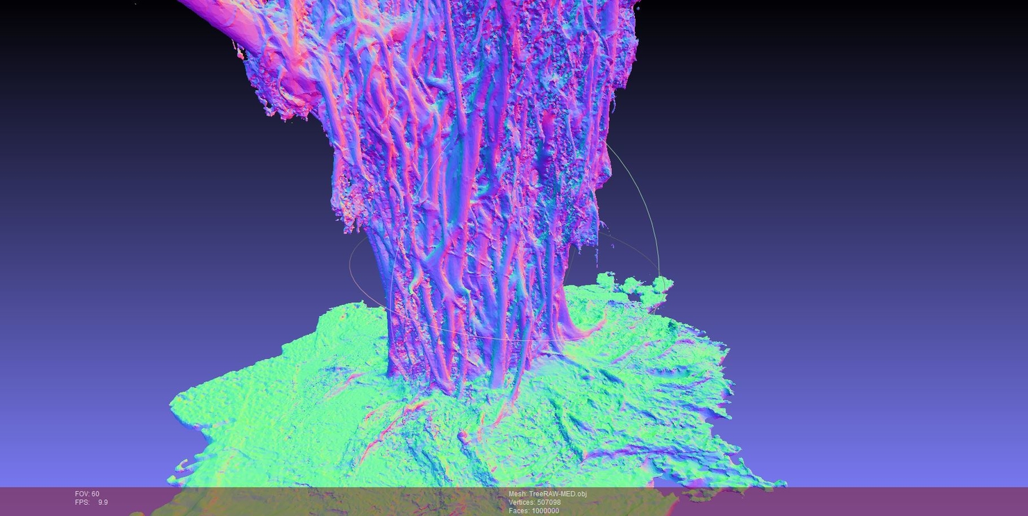 3d model tree complex