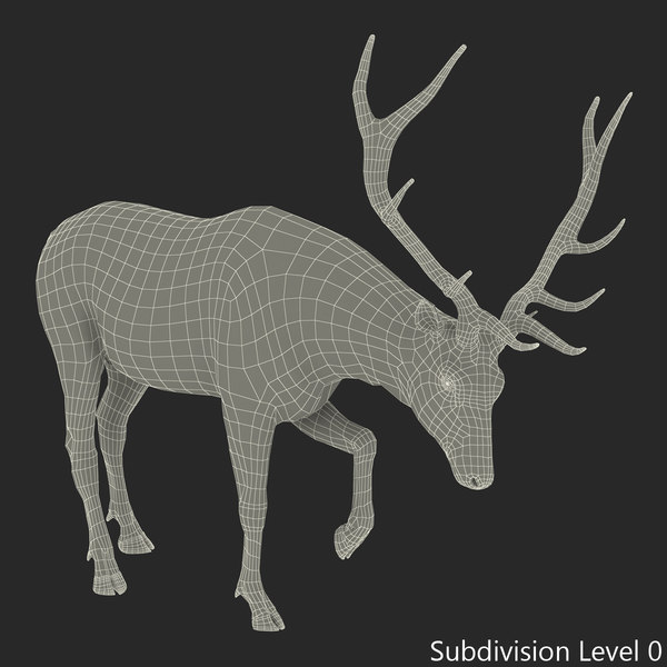 3d elk pose 4 model