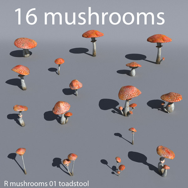 3D crimini mushroom - TurboSquid 1329131
