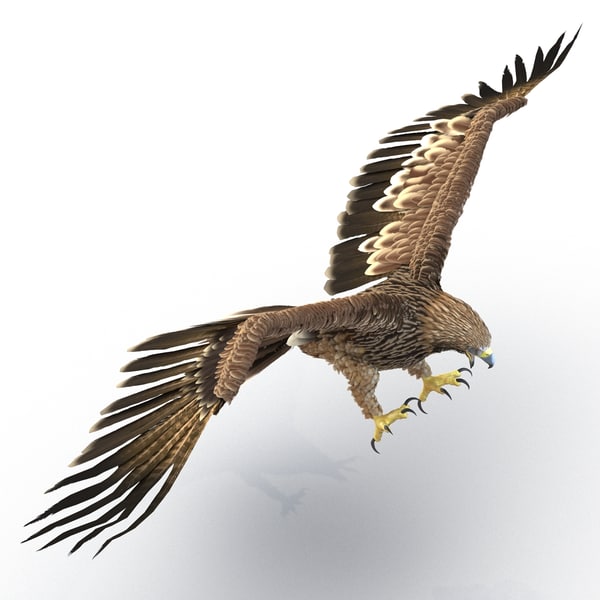 3ds imperial eagle pose 3