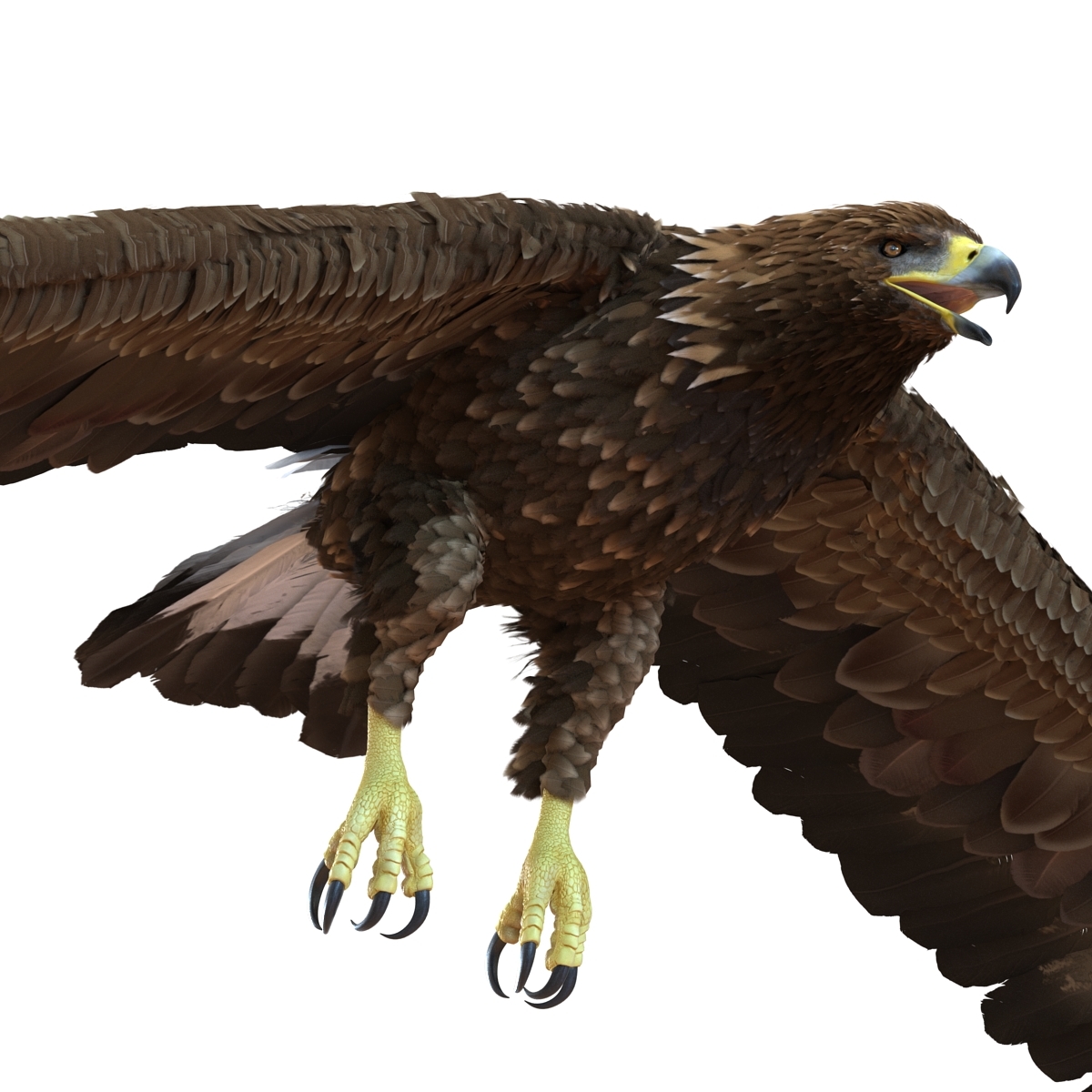 obj golden eagle pose 4