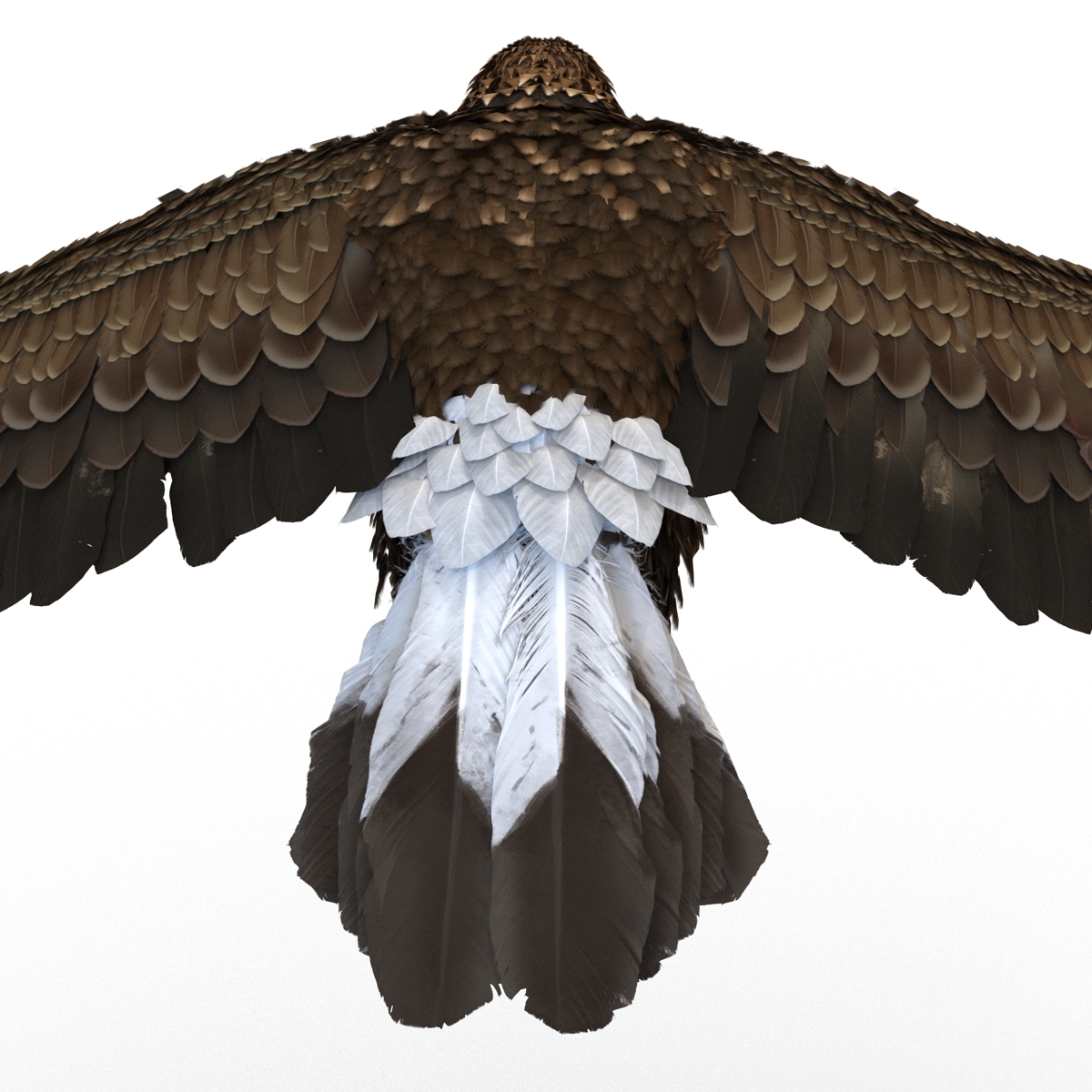 obj golden eagle pose 4