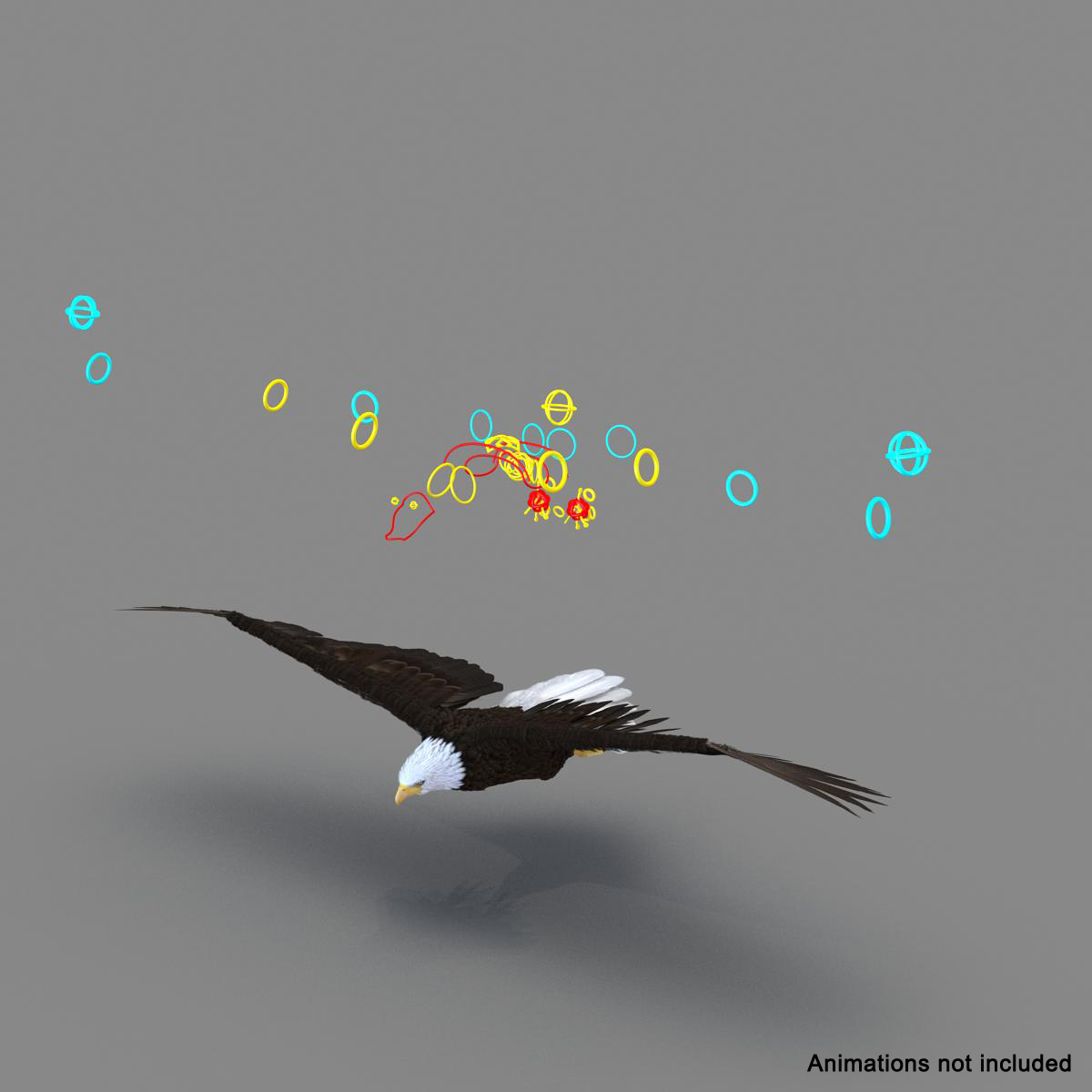 Weißkopfseeadler animiert 3D-Modell - TurboSquid 979102
