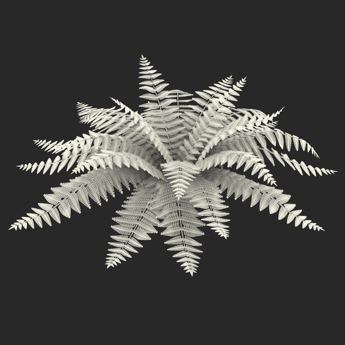 fern realistic 3d model