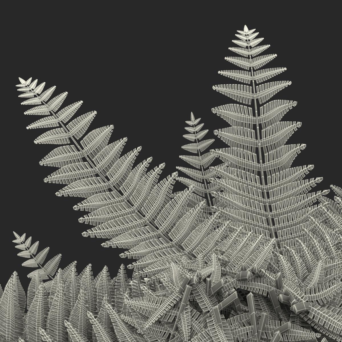 fern realistic 3d model