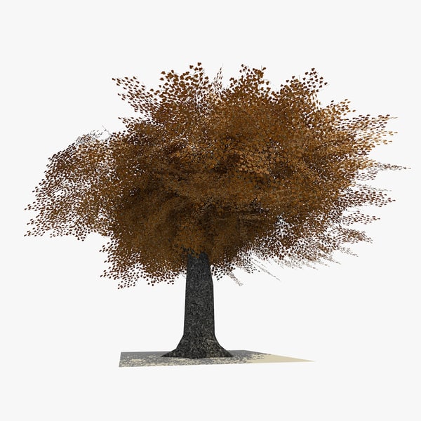 3d 3 trees autumn leaves model