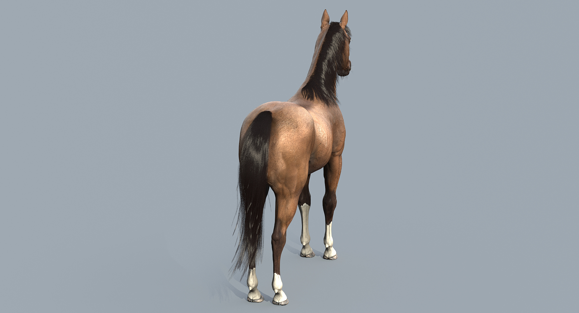 realistic horse max