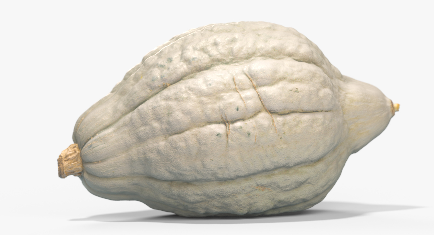 squash hubbard pumpkin max