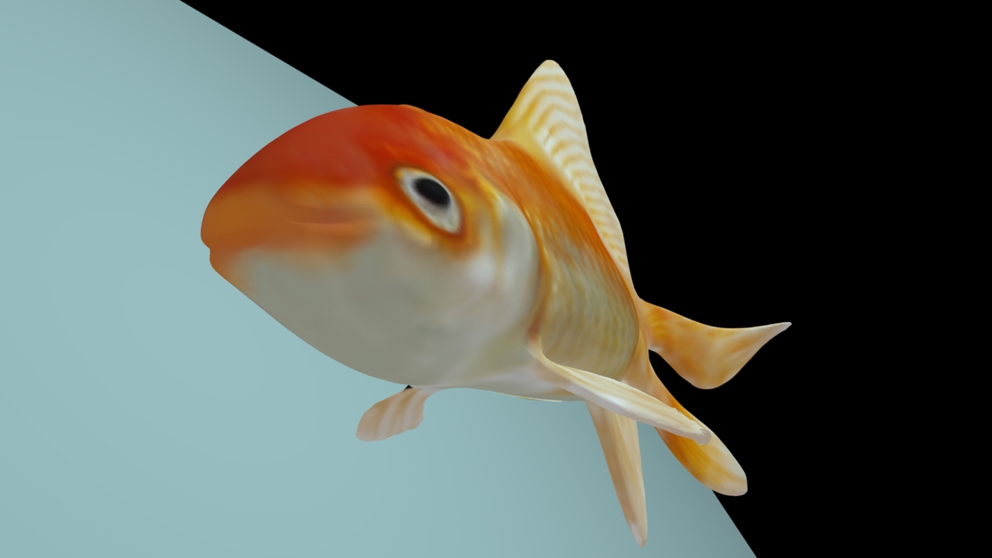 3d model goldfish fish