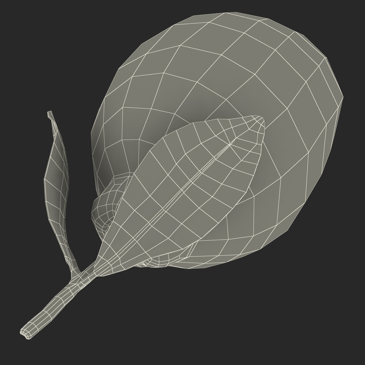3d lemon 2 model