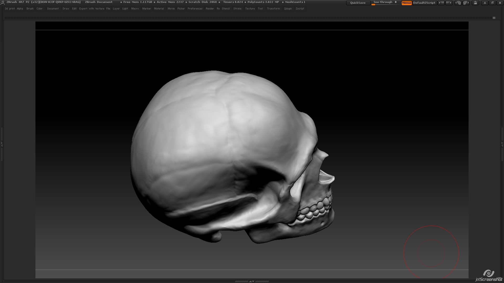 skull 3d model