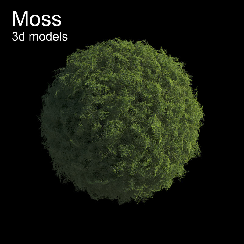 modelo 3d Moss modelo 3d - TurboSquid 980912