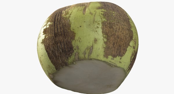 3d green coconut 4 model