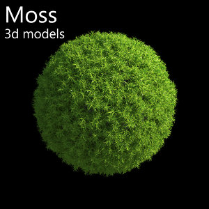 3d model moss normal maps