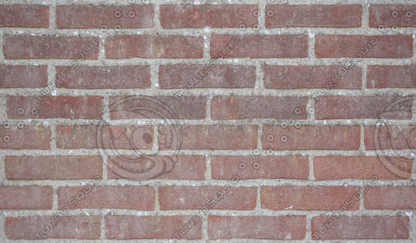 Texture JPEG wall bricks bricktex