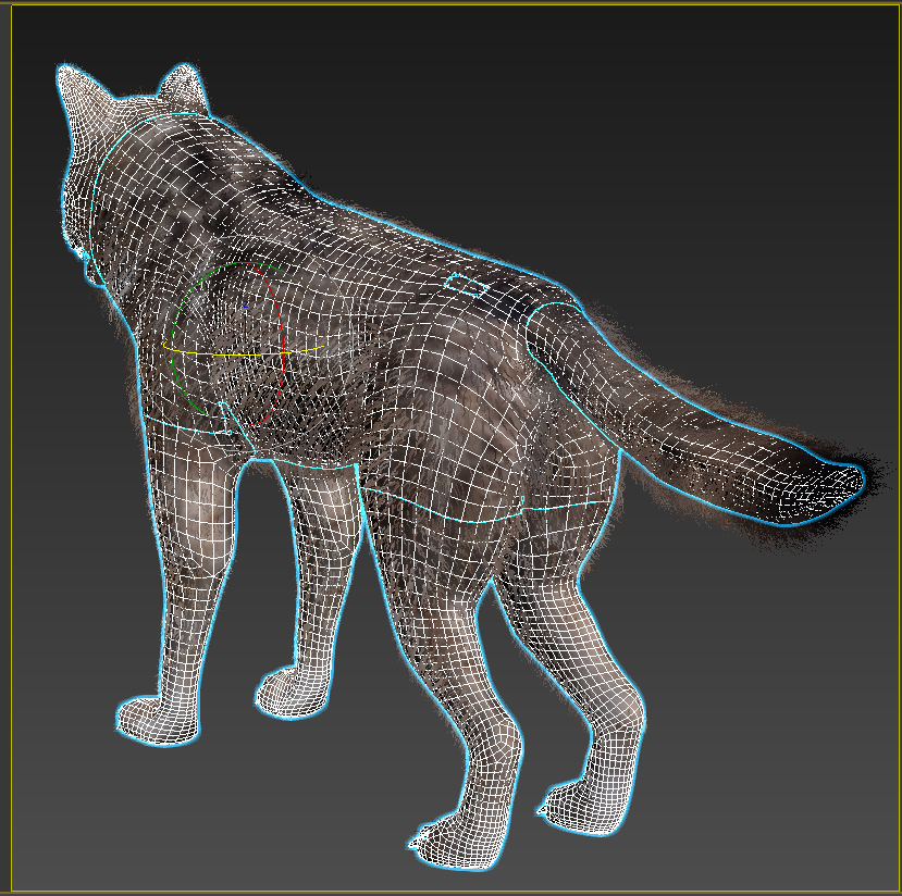 grey wolf 3d model