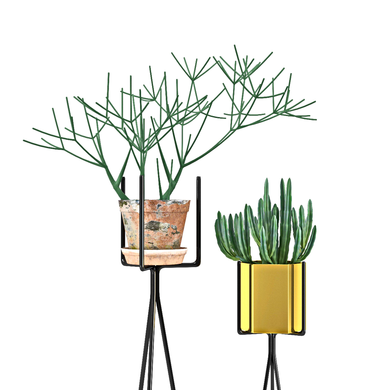 3d model shelf plants