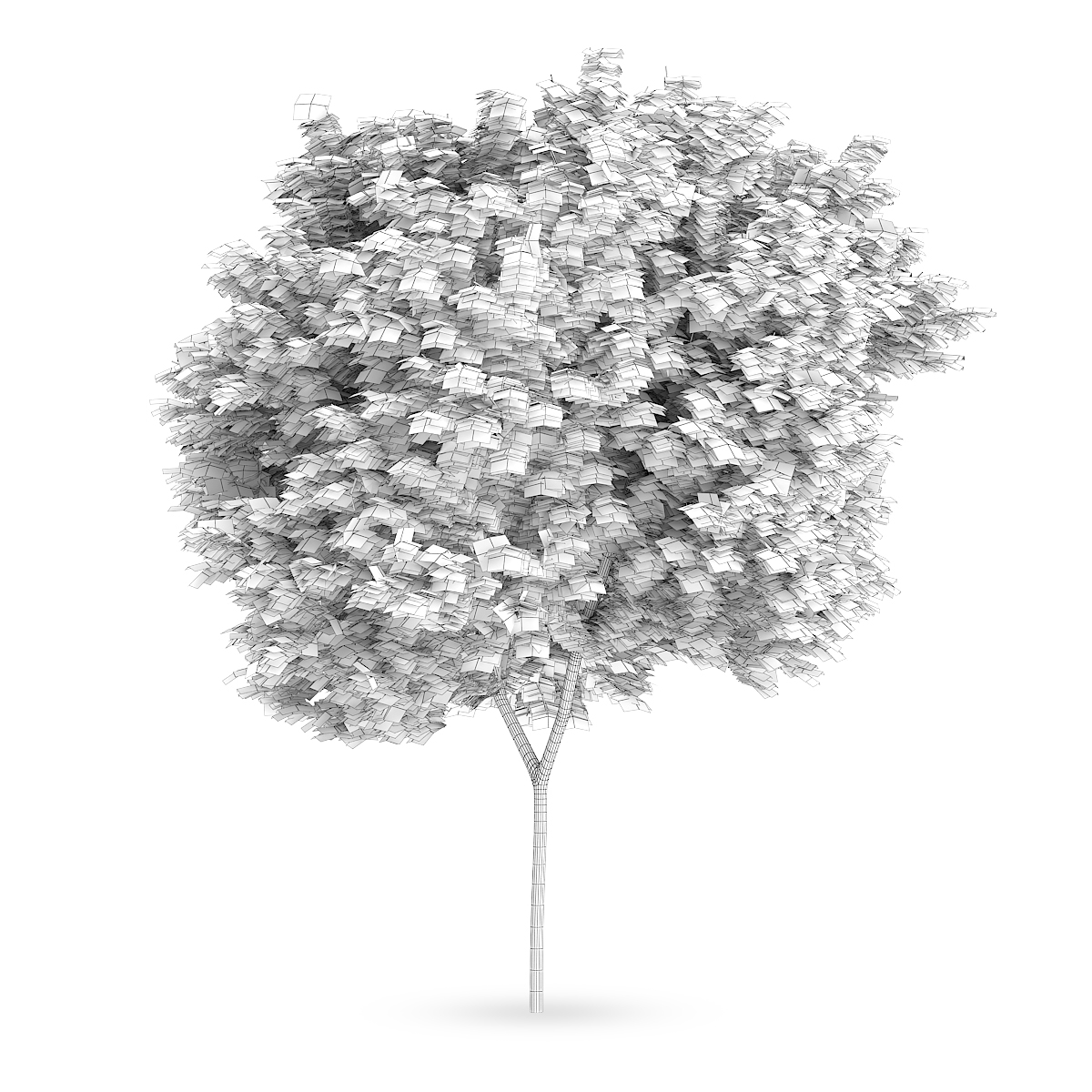 3dsmax field maple tree acer