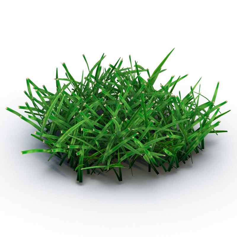 3d model grass 4