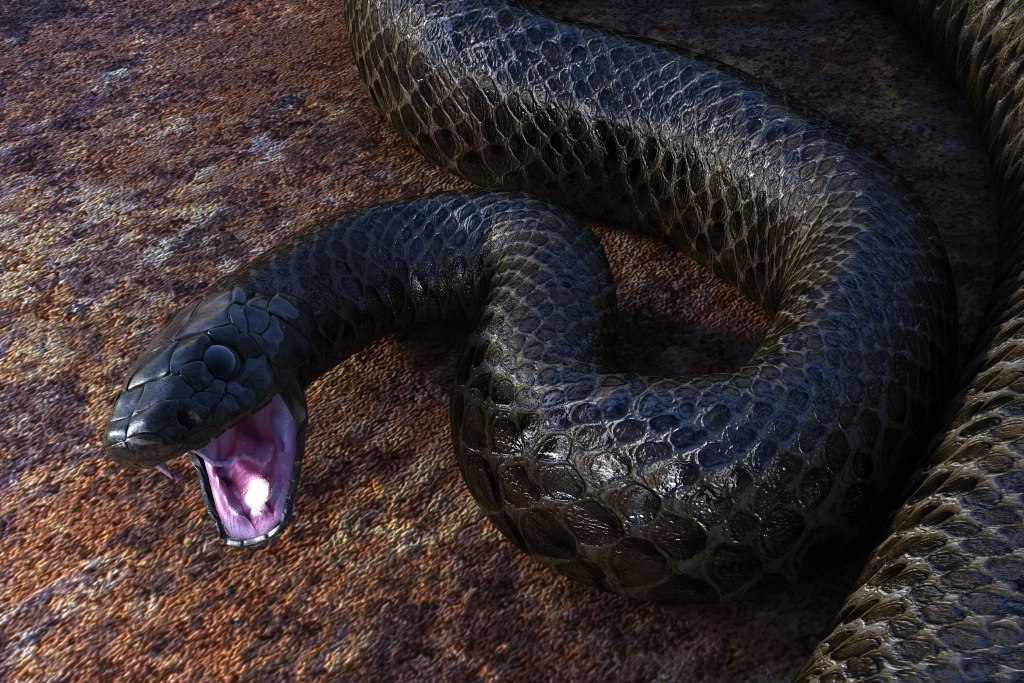 3d model black snake