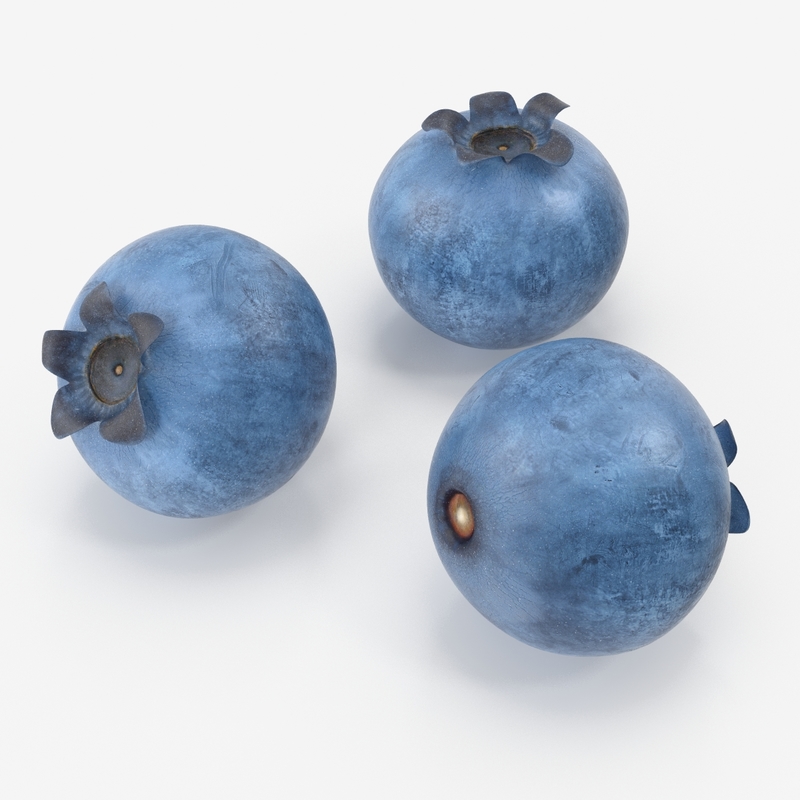 blueberry berry blue 3d model