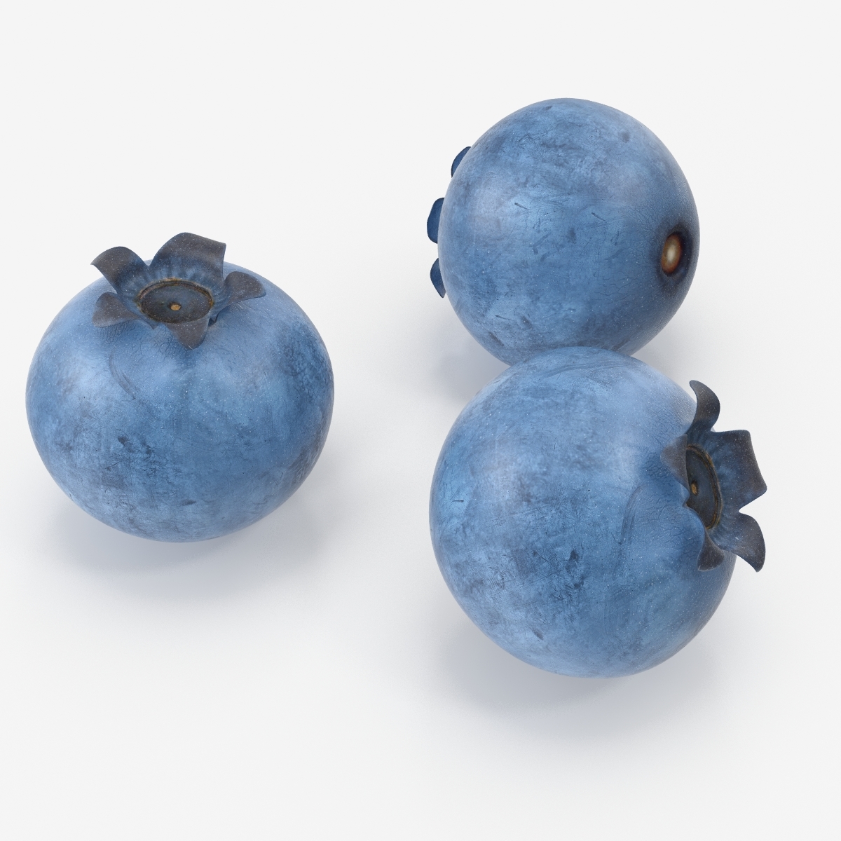 blueberry berry blue 3d model