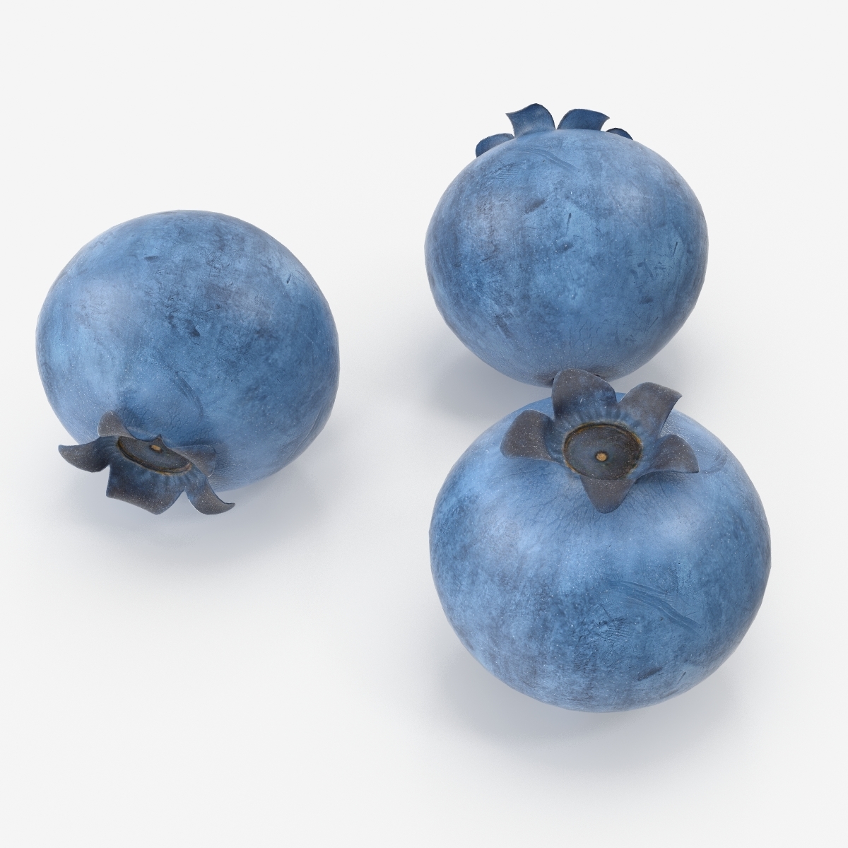 blueberry berry blue 3d model