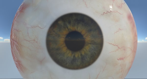 max realistic human eye iris