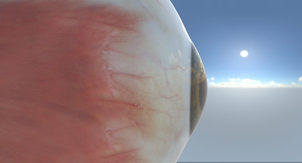 max realistic human eye iris