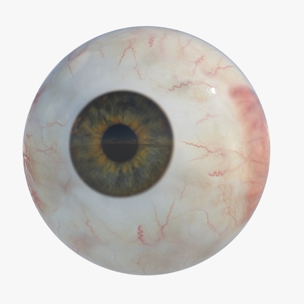 max realistic human eye iris