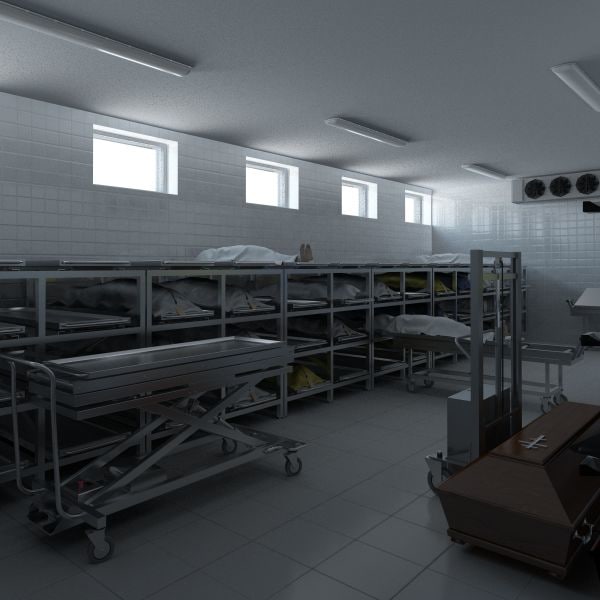 3d model of hd morgue