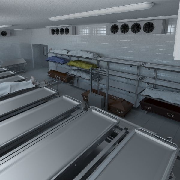 3d model of hd morgue