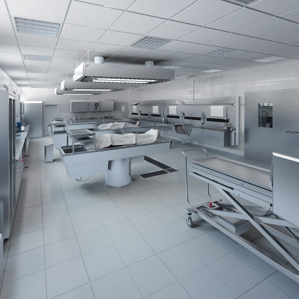 3d anatomy autopsy laboratory equipment model