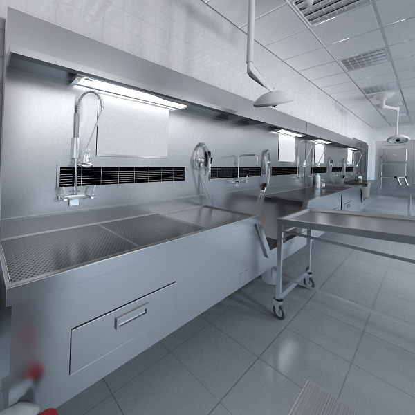 3d anatomy autopsy laboratory equipment model