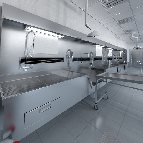 3d anatomy autopsy laboratory equipment model