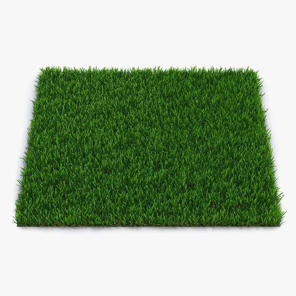 Grasses 3D Models for Download | TurboSquid